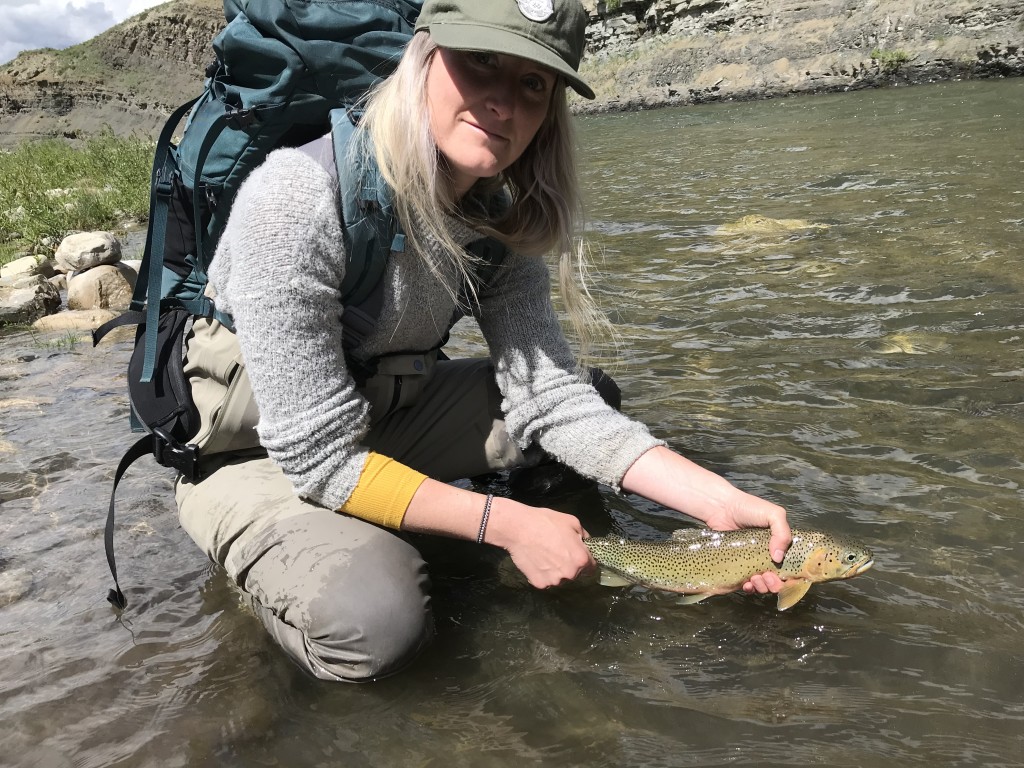 Banff fly fishing | Guided Fly Fishing trips on the rivers of Alberta