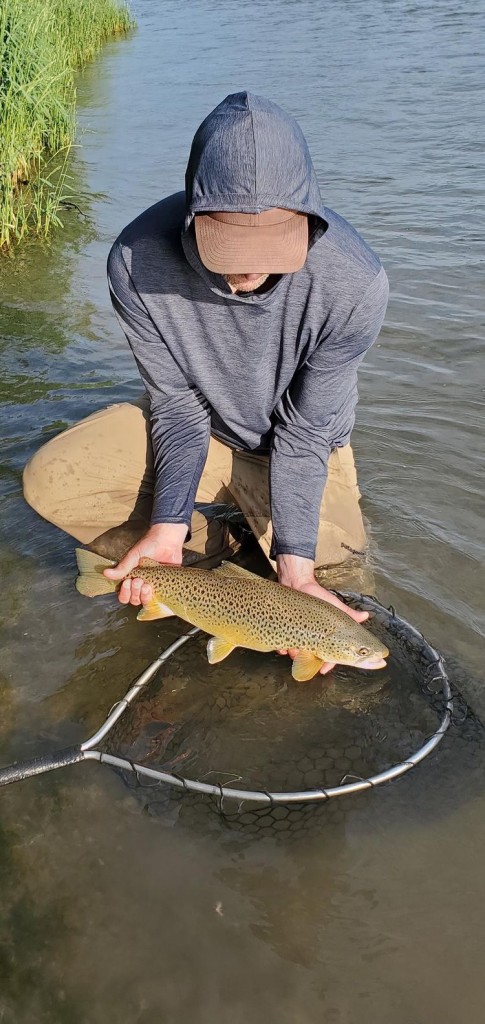 Banff fly fishing | Guided Fly Fishing trips on the rivers of Alberta